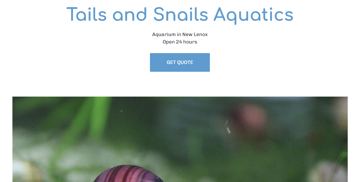 23 Aquariums in ILLINOIS (Adventurous, Exciting, & Popular)